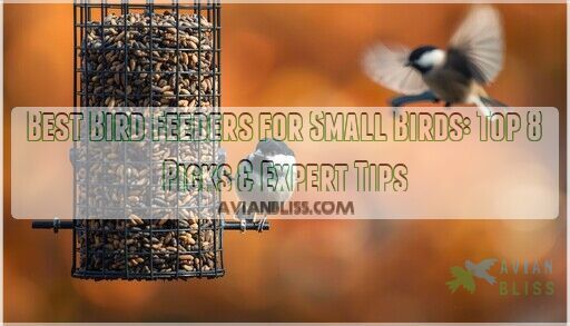 Best Bird Feeders for Small Birds: Top 8 Picks & Expert Tips