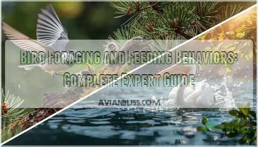Bird Foraging and Feeding Behaviors: Complete Expert Guide