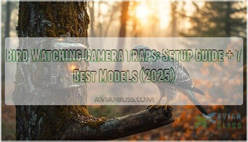 Bird Watching Camera Traps: Setup Guide + 7 Best Models (2025)