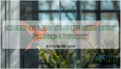 Can Birds See Glass? The Science Behind Window Collisions & Prevention