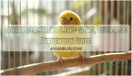 Canary Health Problems: Signs, Diseases & Prevention Guide