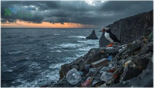 Atlantic Puffin: Habitat, Diet, Behavior & Conservation Facts