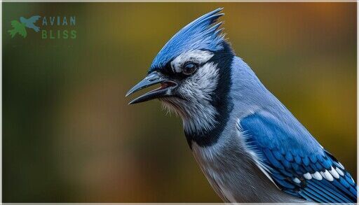 20 Fascinating Facts About Blue Jays You'll Love to Know
