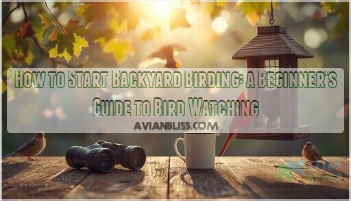 How to Start Backyard Birding: a Beginner's Guide to Bird Watching