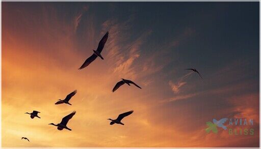 Decoding Bird Flight Patterns: Anatomy, Behavior & Identification