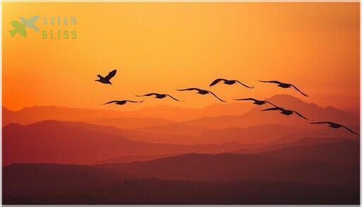 Why Do Birds Fly in a V Formation? The Surprising Science and Hidden ...