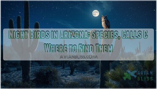 Night Birds in Arizona: Species, Calls & Where to Find Them