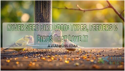 Nyjer Seed Bird Food: Types, Feeders & Birds That Love It