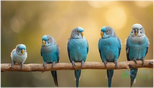 Blue Parakeet Lifespan: How Long Do They Live? (Care Tips)