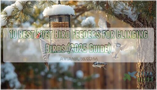 10 Best Suet Bird Feeders for Clinging Birds (2025 Guide)