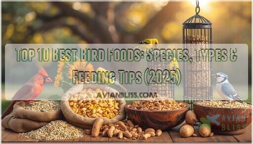 Top 10 Best Bird Foods: Species, Types & Feeding Tips (2025)