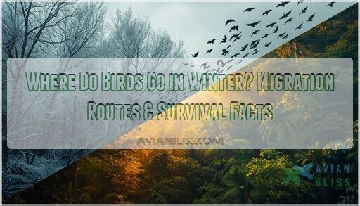 Where Do Birds Go in Winter? Migration Routes & Survival Facts