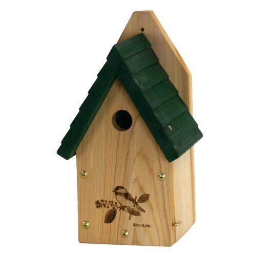 Bird House Building Plans: Step-by-Step Guide + Top 10 Kits
