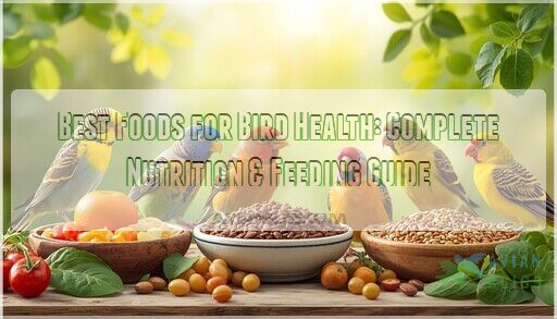 Best Foods for Bird Health: Complete Nutrition & Feeding Guide