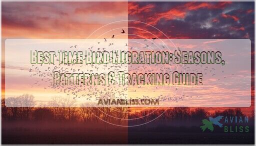 Best Time Bird Migration: Seasons, Patterns & Tracking Guide