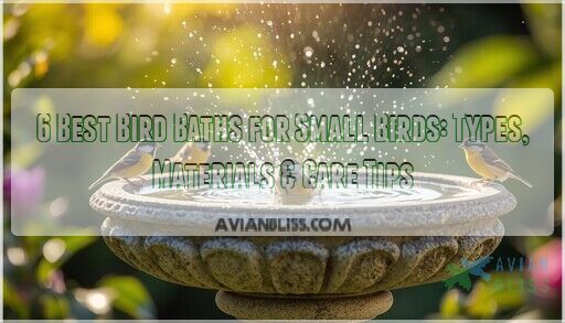 6 Best Bird Baths for Small Birds: Types, Materials & Care Tips