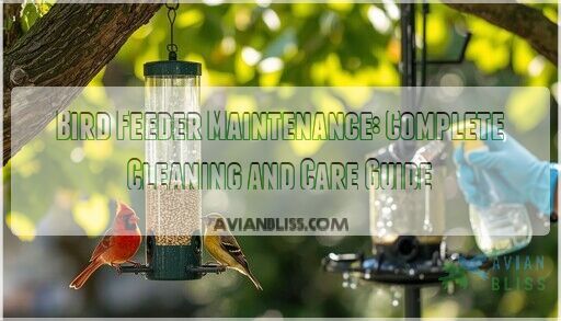 Bird Feeder Maintenance: Complete Cleaning and Care Guide