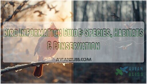 Bird Information Guide: Species, Habitats & Conservation