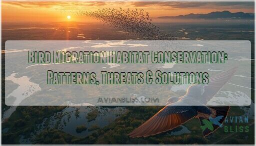 Bird Conservation Status Explained: 3 Critical Steps to Save At-Risk ...