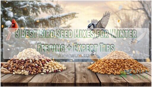 9 Best Bird Seed Mixes for Winter Feeding + Expert Tips