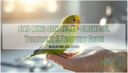 Bird Wing Pain Relief: Diagnosis, Treatment & Recovery Guide