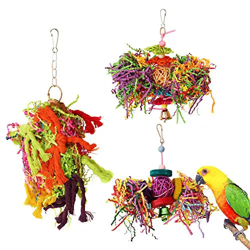 10 Best Bird Toys for Bored Birds: Keep Your Pet Happy in 2026