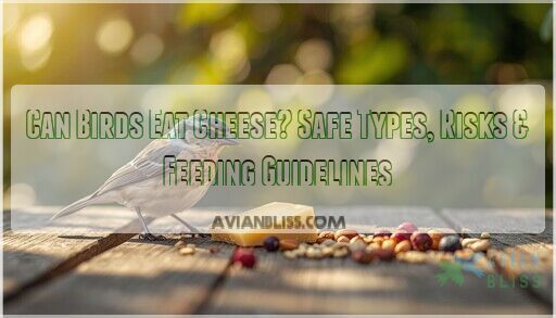 Can Birds Eat Cheese? Safe Types, Risks & Feeding Guidelines