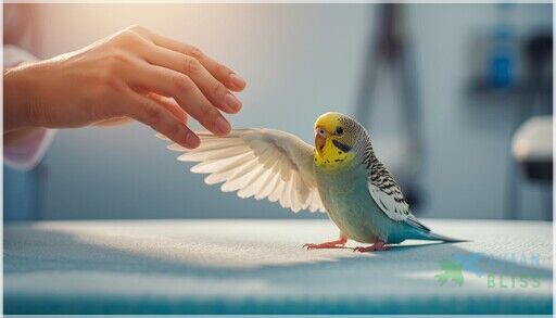 Bird Wing Pain Relief: Diagnosis, Treatment & Recovery Guide