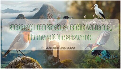European Bird Species: Iconic Varieties, Habitats & Conservation