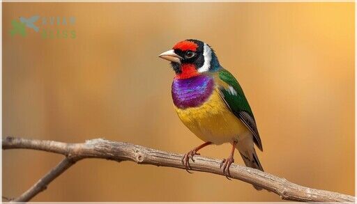 20 Colorful Bird Species: Parrots, Songbirds & Conservation