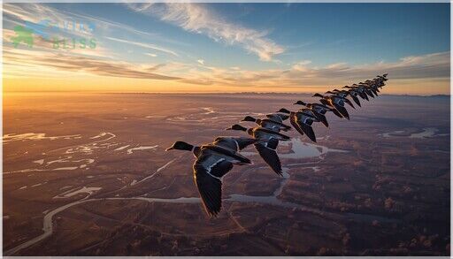 Can Ducks Fly? Species, Speed, Distance & Flight Secrets (2025)