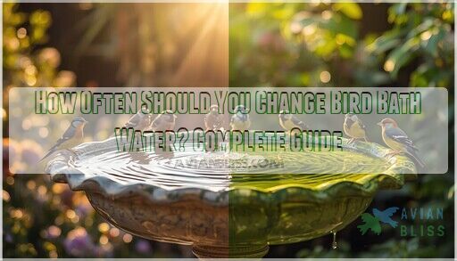 8 Best Bird Baths With Water Wigglers: Reviews & Buying Guide
