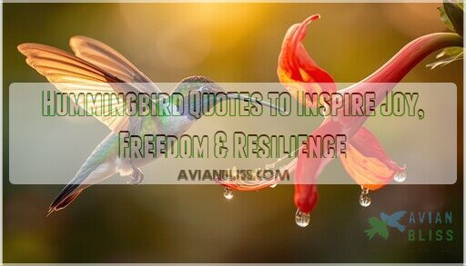 Hummingbird Quotes to Inspire Joy, Freedom & Resilience
