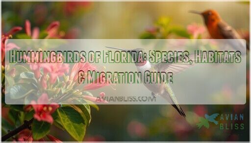 Hummingbirds of Florida: Species, Habitats & Migration Guide