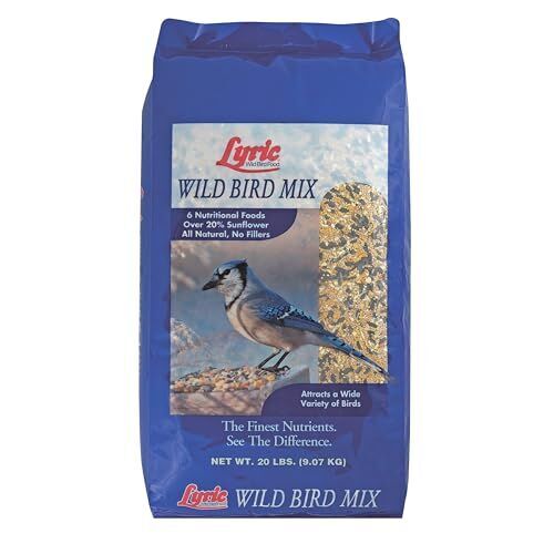 9 Best Bird Seed Mixes for Winter Feeding + Expert Tips