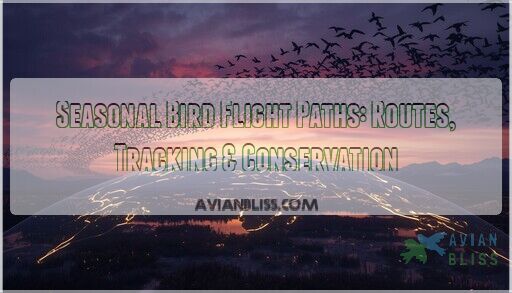 Seasonal Bird Flight Paths: Routes, Tracking & Conservation