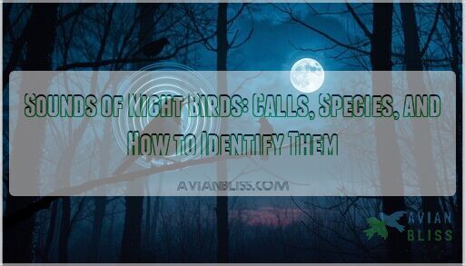 Sounds of Night Birds: Calls, Species, and How to Identify Them