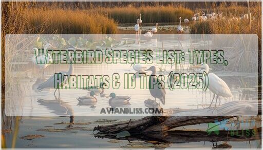 Waterbird Species List: Types, Habitats & ID Tips (2025)