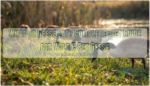 What Do Geese Eat? Complete Diet Guide for Wild & Pet Geese
