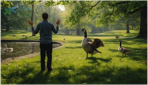 Are Geese Aggressive? Signs, Causes, and How to Stay Safe Around Them