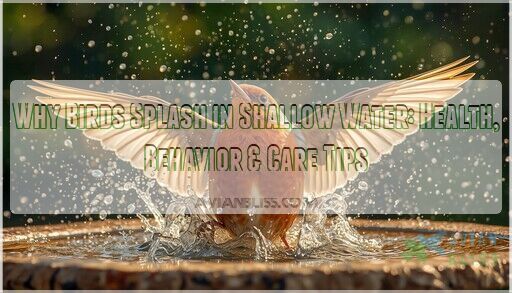 Why Birds Splash in Shallow Water: Health, Behavior & Care Tips