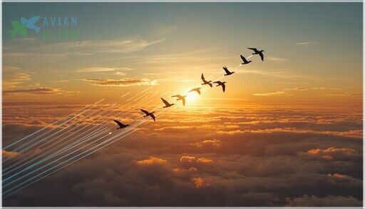 Why Do Birds Fly in V Formation? The Science Behind The Pattern