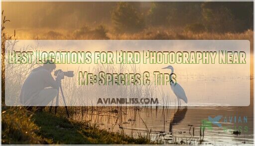 Best Locations for Bird Photography Near Me: Species & Tips