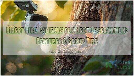 6 Best Bird Cameras for Nest Observation: Features & Setup Tips