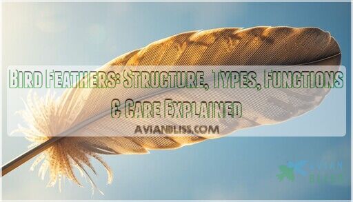 Bird Feathers: Structure, Types, Functions & Care Explained