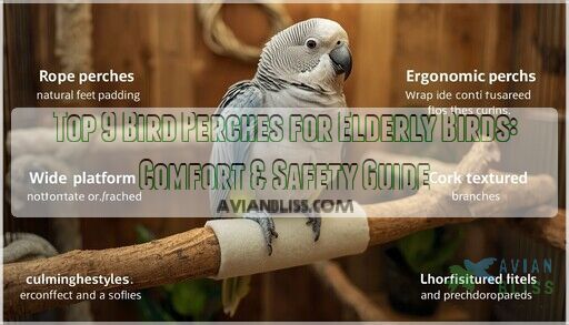 Top 9 Bird Perches for Elderly Birds: Comfort & Safety Guide