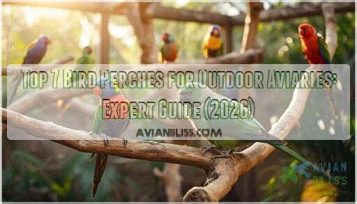 Top 7 Bird Perches for Outdoor Aviaries: Expert Guide (2026)