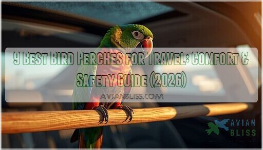 9 Best Bird Perches for Travel: Comfort & Safety Guide (2026)