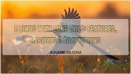 8 Birds With Long Tails: Features, Habitats & Adaptations