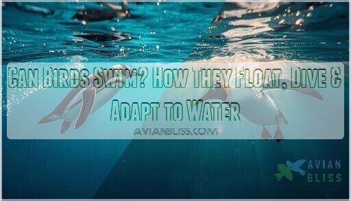Can Birds Swim? How They Float, Dive & Adapt to Water